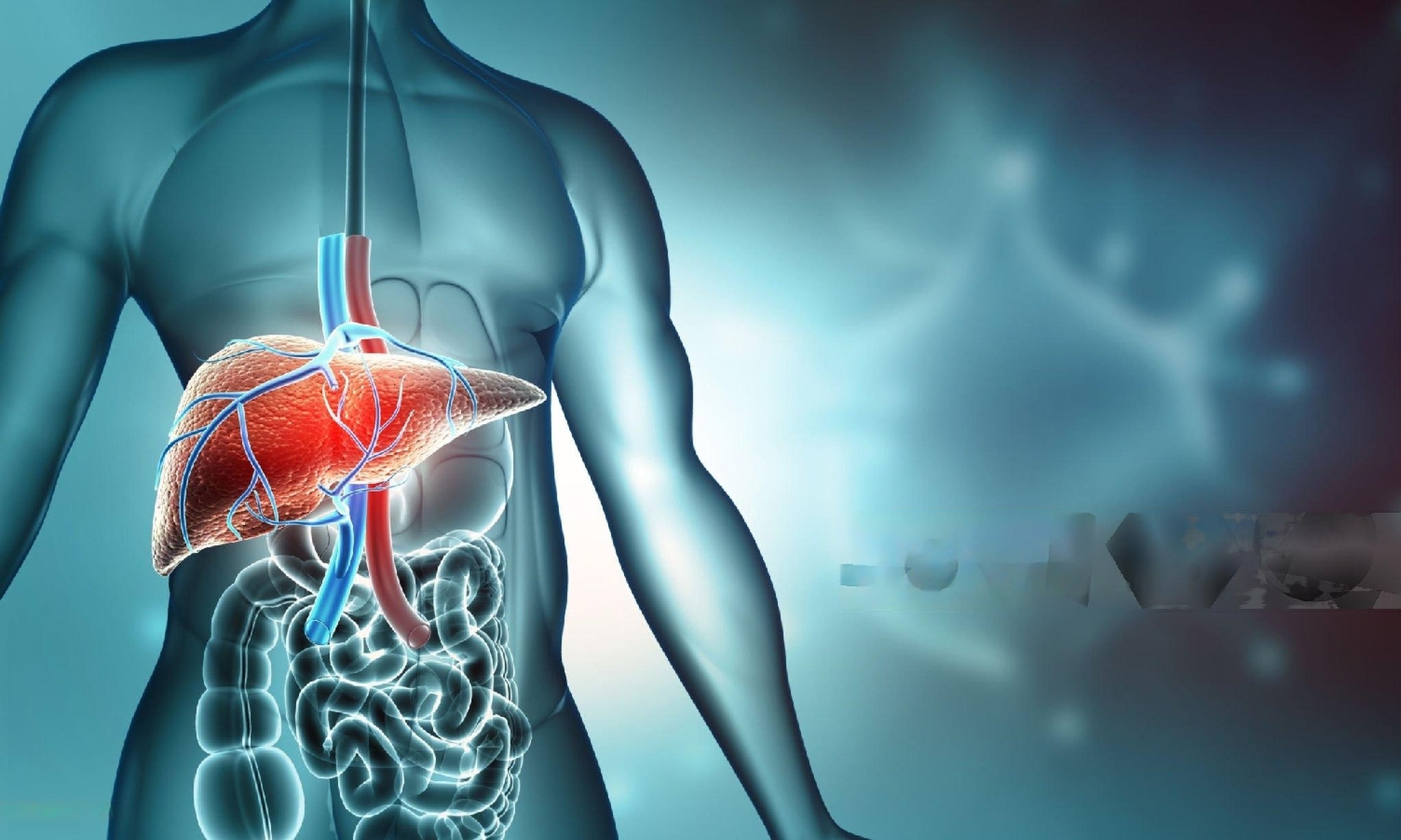 Liver and gastrointestinal diseases – RENMED CLINIC